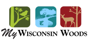 Home - My Wisconsin Woods