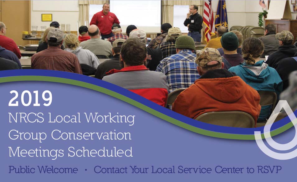 The Power of Your Voice at a Local Working Group (LWG) - My Wisconsin Woods