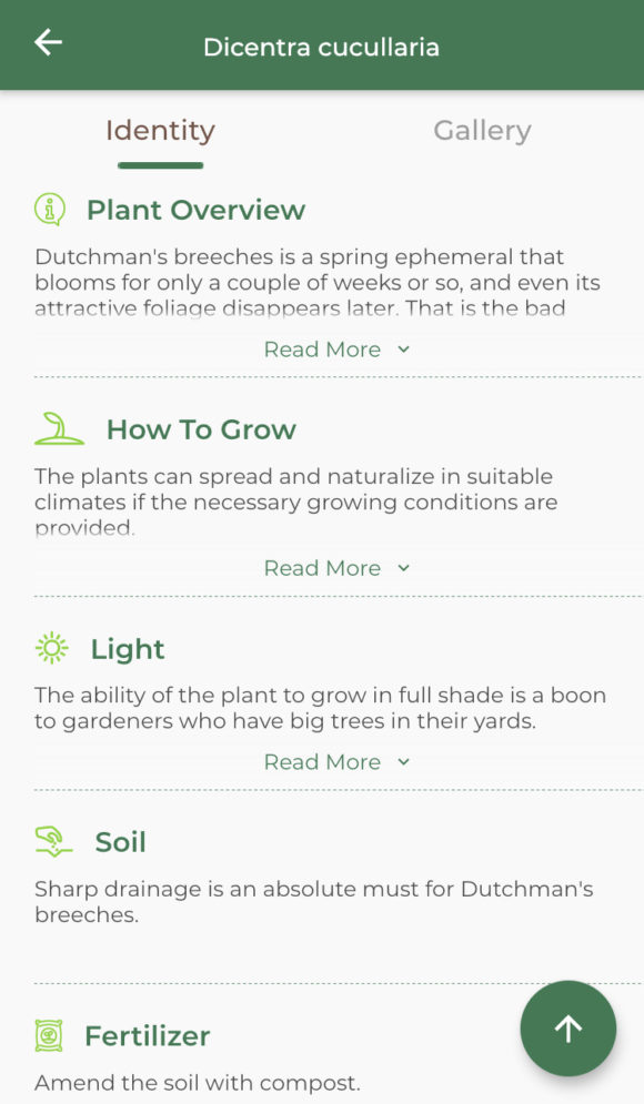 Which Plant ID App Should I Download? - My Wisconsin Woods